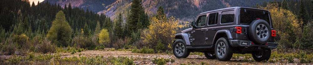 Jeep Wrangler Off-Roading Guide | Collierville Chrysler Dodge Jeep Ram