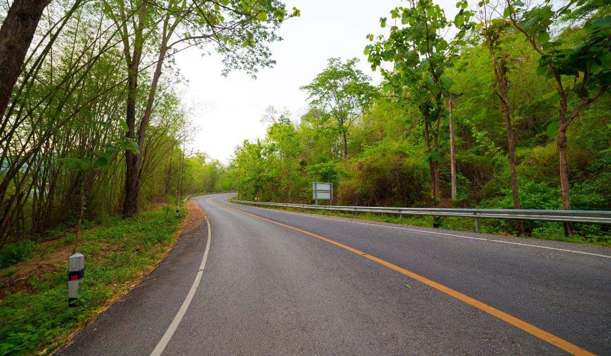 The Longleaf Trail Scenic Byway is the Perfect Summer Road Trip