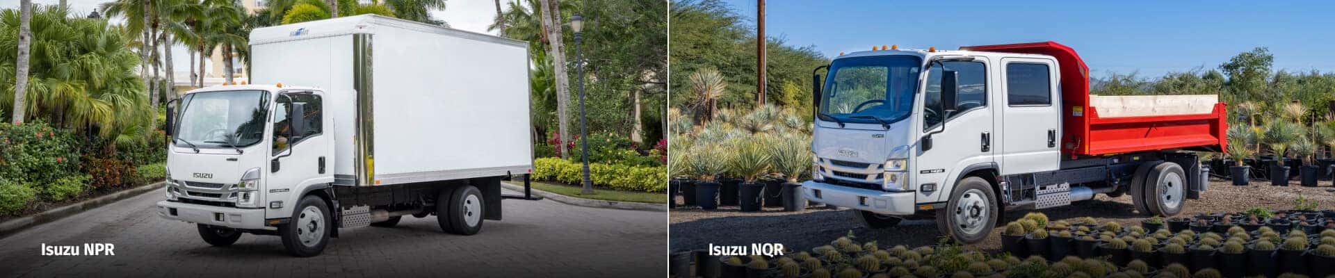 Isuzu NPR Vs. NQR: Key Differences And Similarities