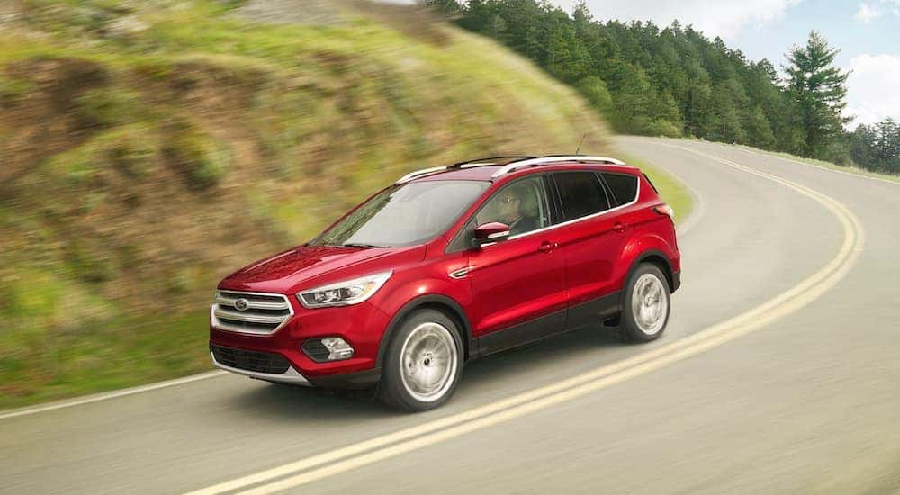 Used Ford Favorites | Auto Dealership Serving Irvine, CA
