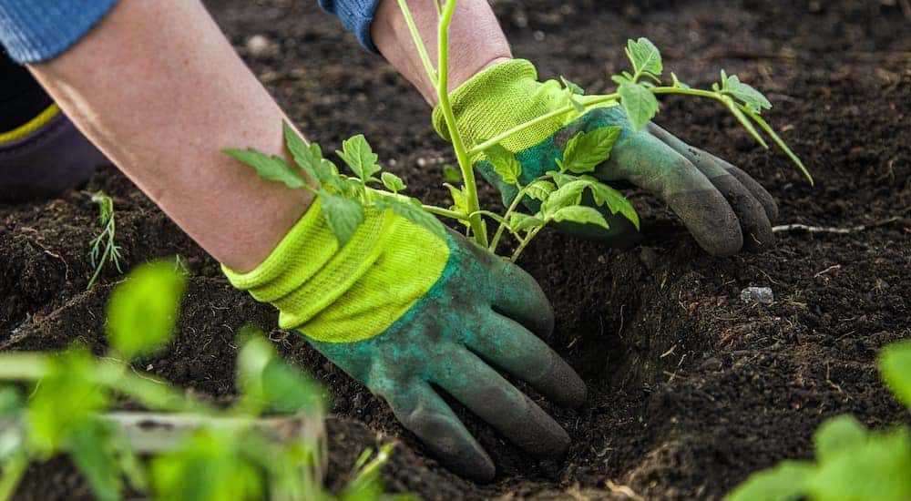 11 Cool & Lucrative Things You Can Do With a Truck Costa Mesa CA ...