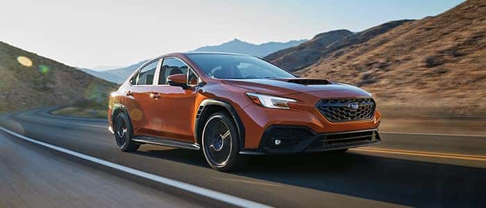 Subaru Vehicle Specials | Schomp Subaru in Denver, CO