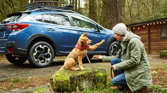 Pet Owners Love Subaru - Here's Why